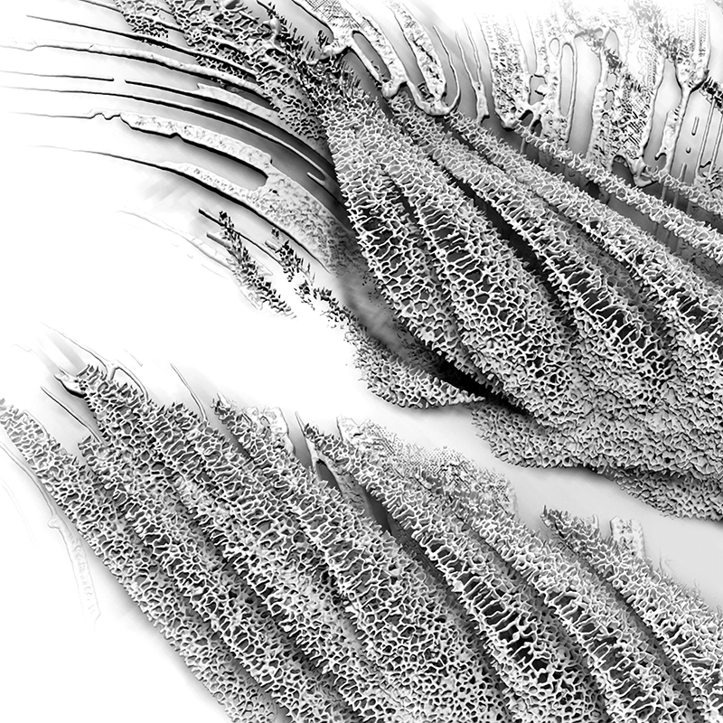 Endemic Interstices by Alisa Andrasek