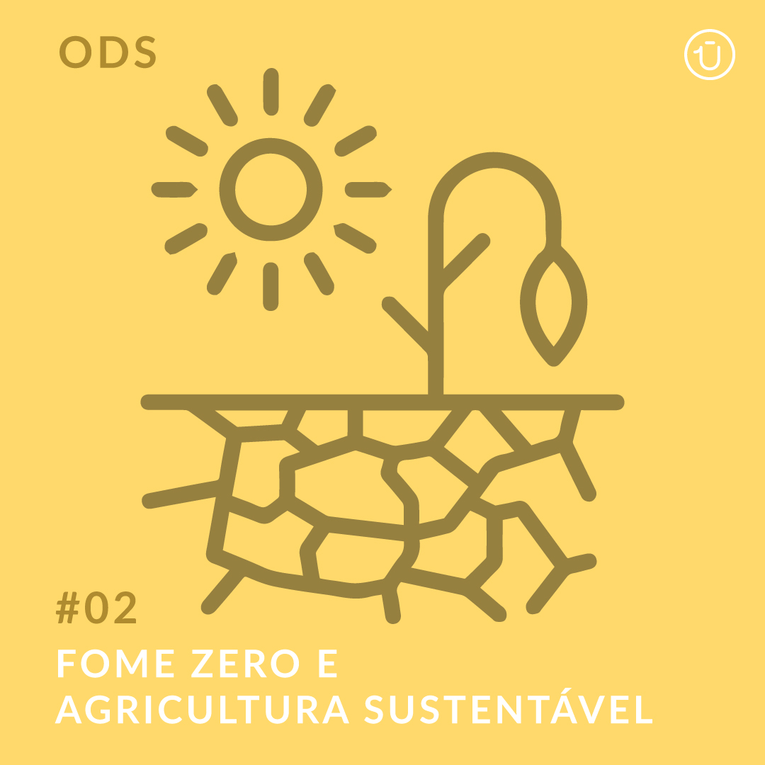 ODS #2 | Fome Zero e Agricultura Sustentável
