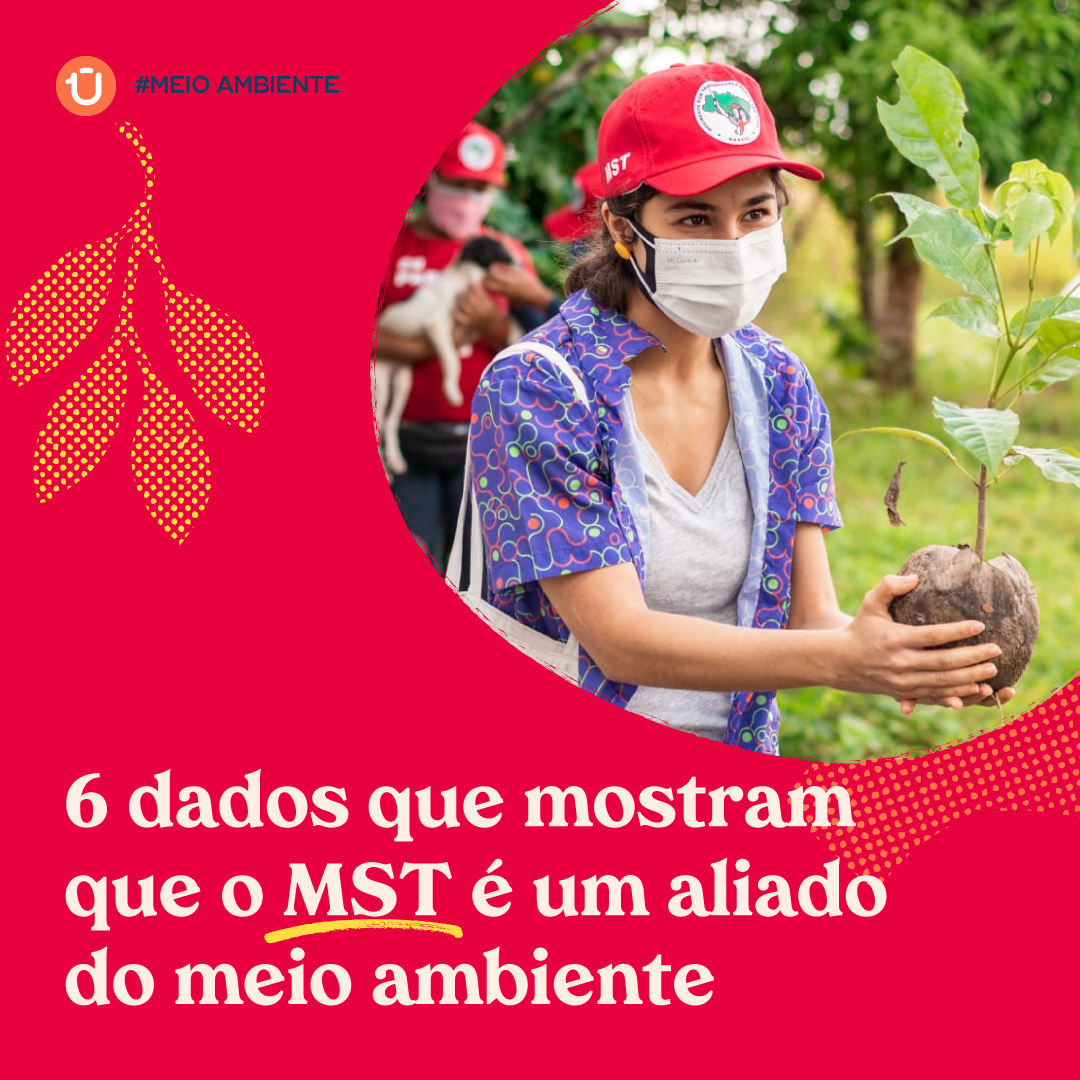 6 dados que mostram que o MST é um aliado do meio ambiente
