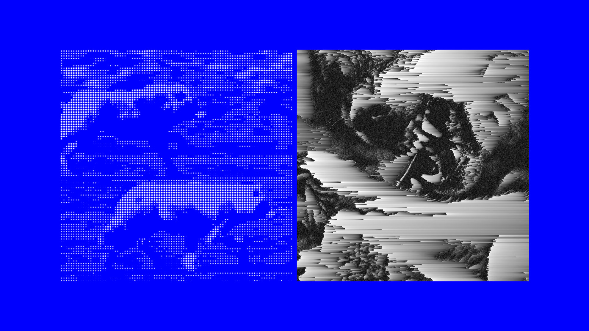 Wolf&Whale. Brand Visual