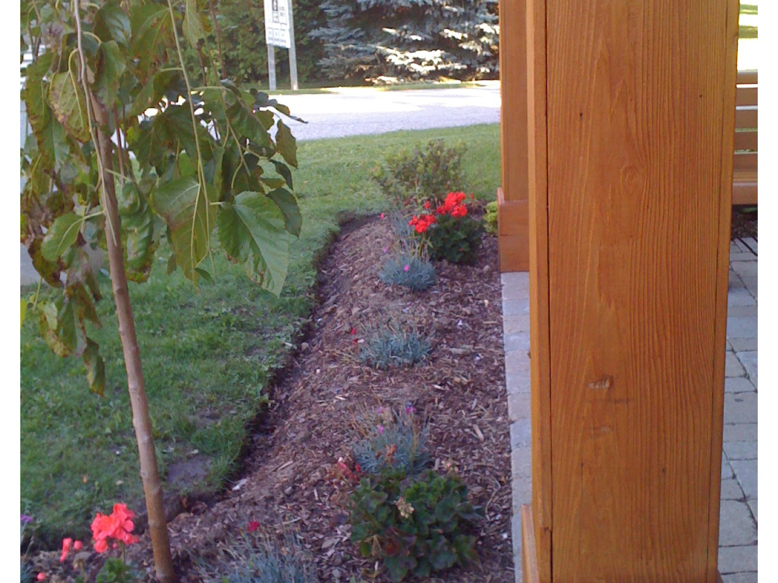 Mono Community Centre