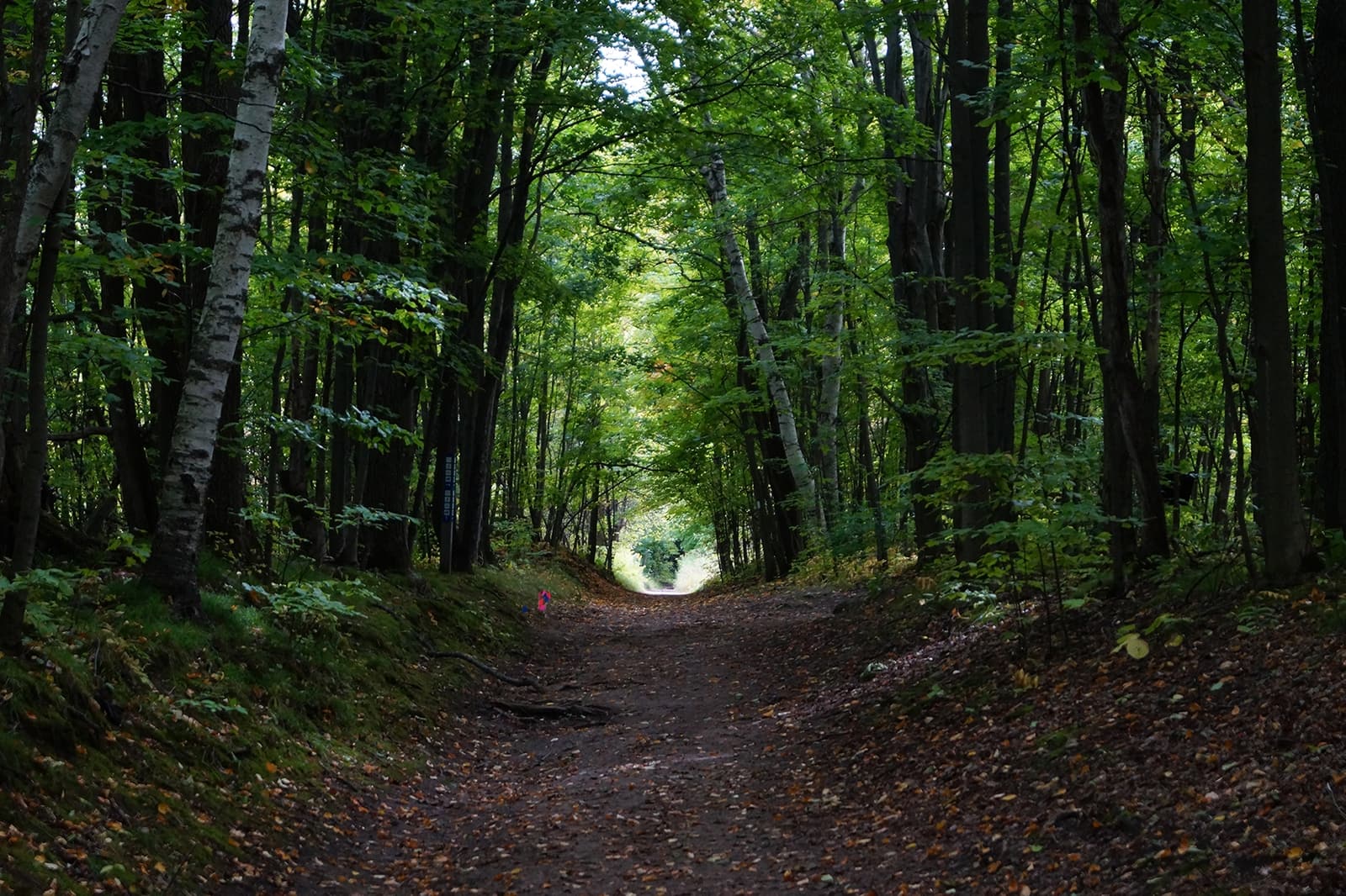 Mono Community Centre