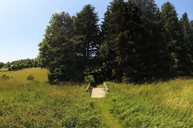 Mono Community Centre