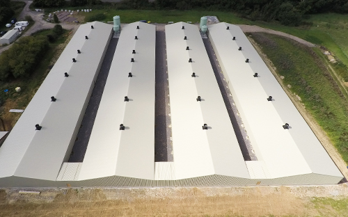 Climatec Systems | Poultry Projects | Specialists in poultry equipment