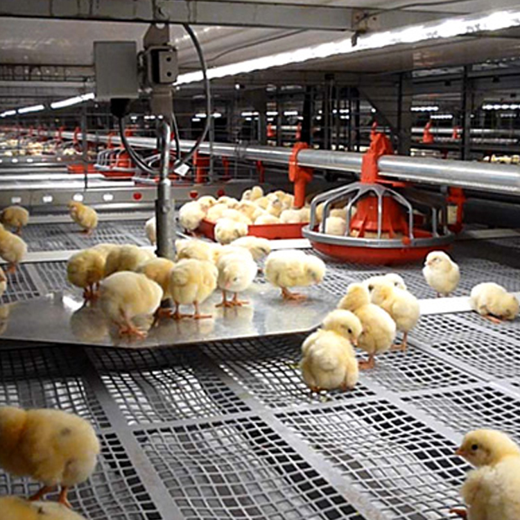 Climatec Systems |A.L.L LED | Hato Poultry Lighting | Specialists in ...