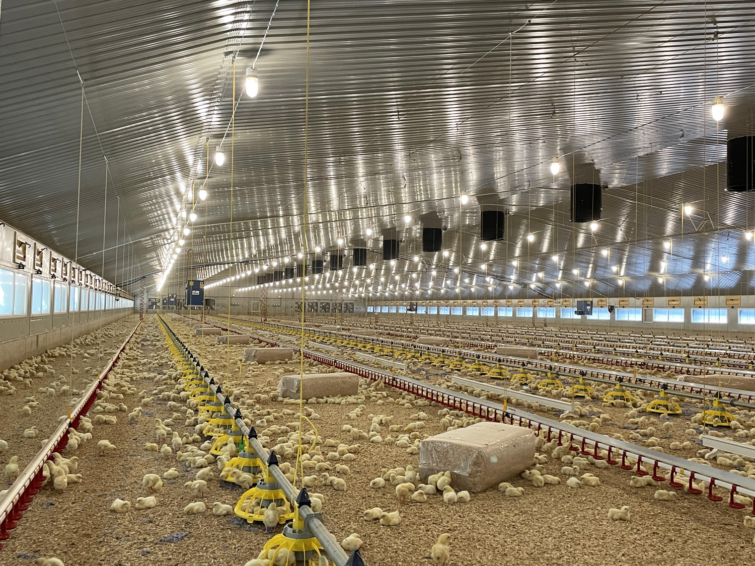 Climatec Systems | About Us | Specialists in poultry equipment