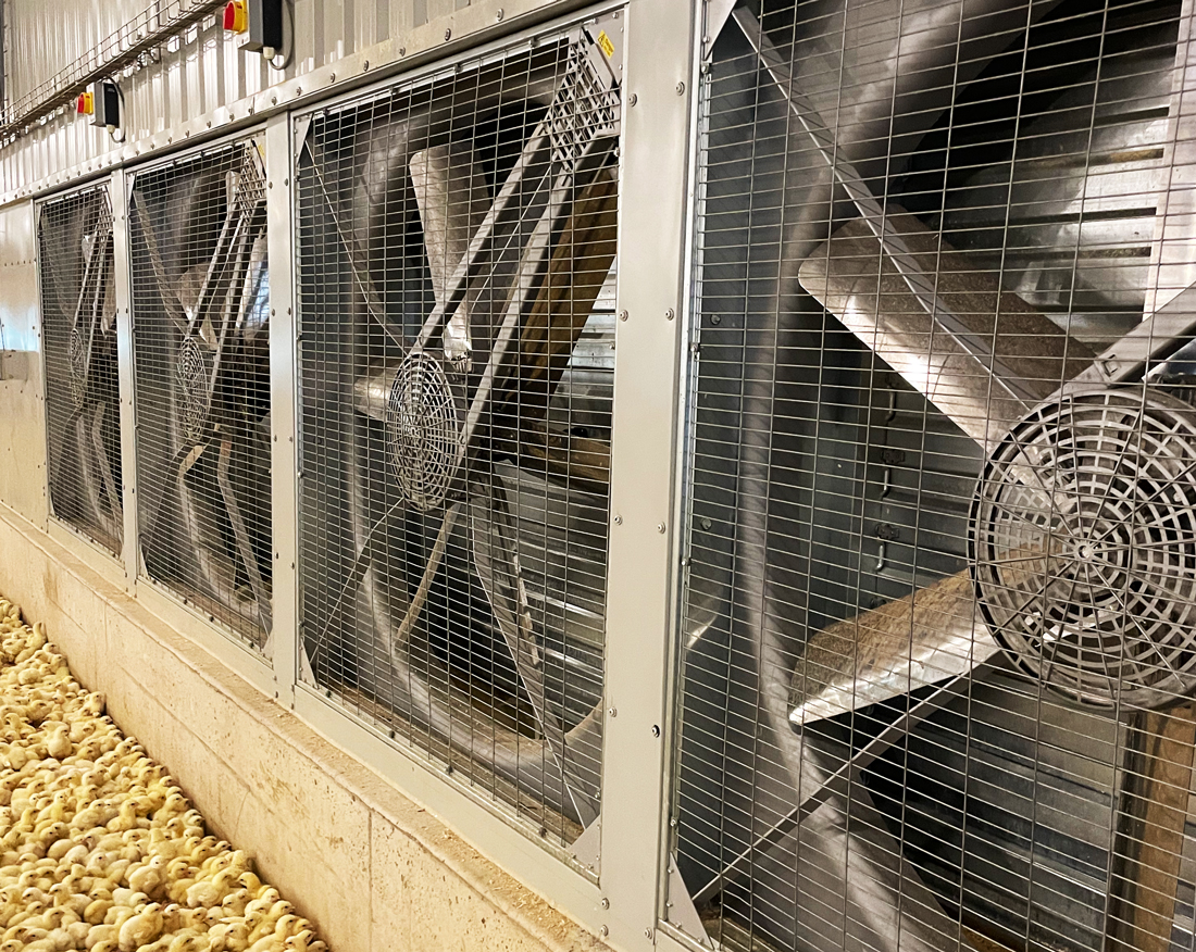 Climatec Systems | Poultry Project | Specialists in poultry equipment v2