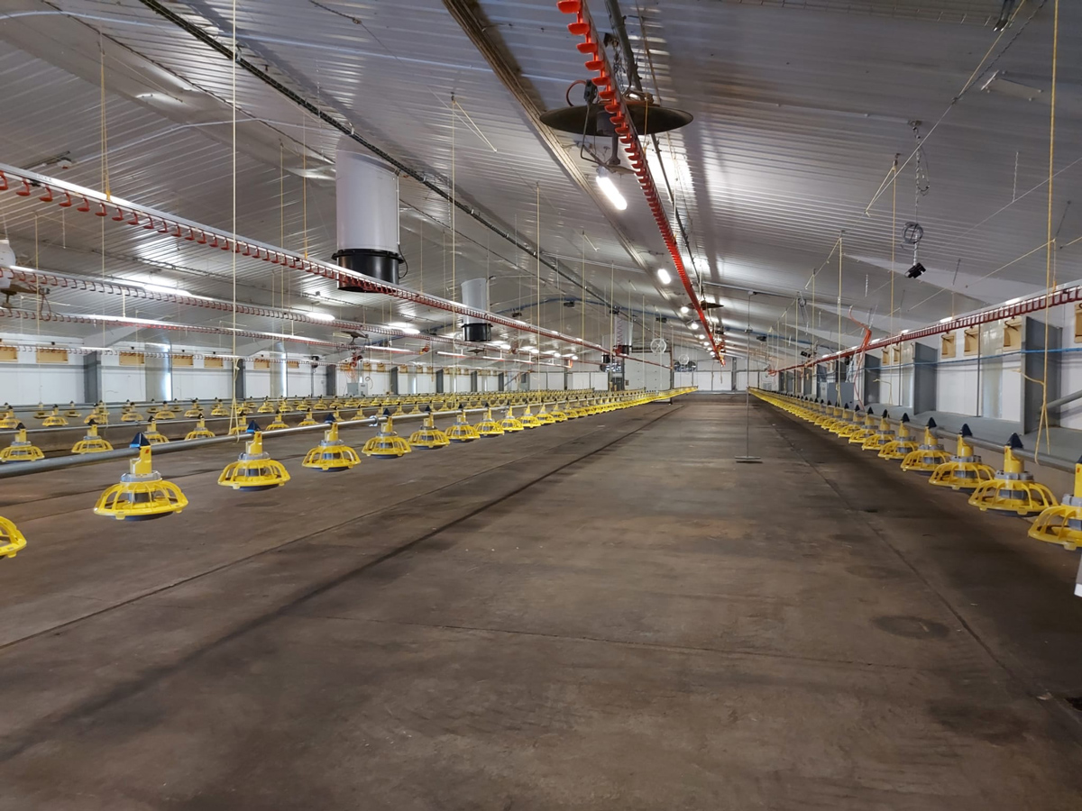 Climatec Systems | Poultry Project 2 | Specialists in poultry equipment