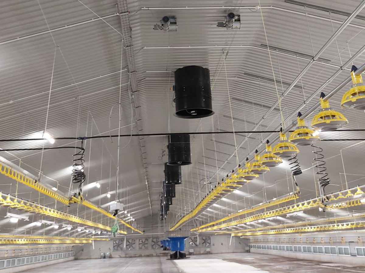 Climatec Systems | Poultry Project 3 | Specialists in poultry equipment ...