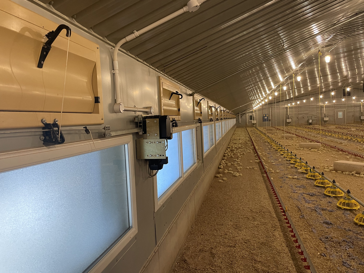 Climatec Systems | Poultry Project | Specialists in poultry equipment v2