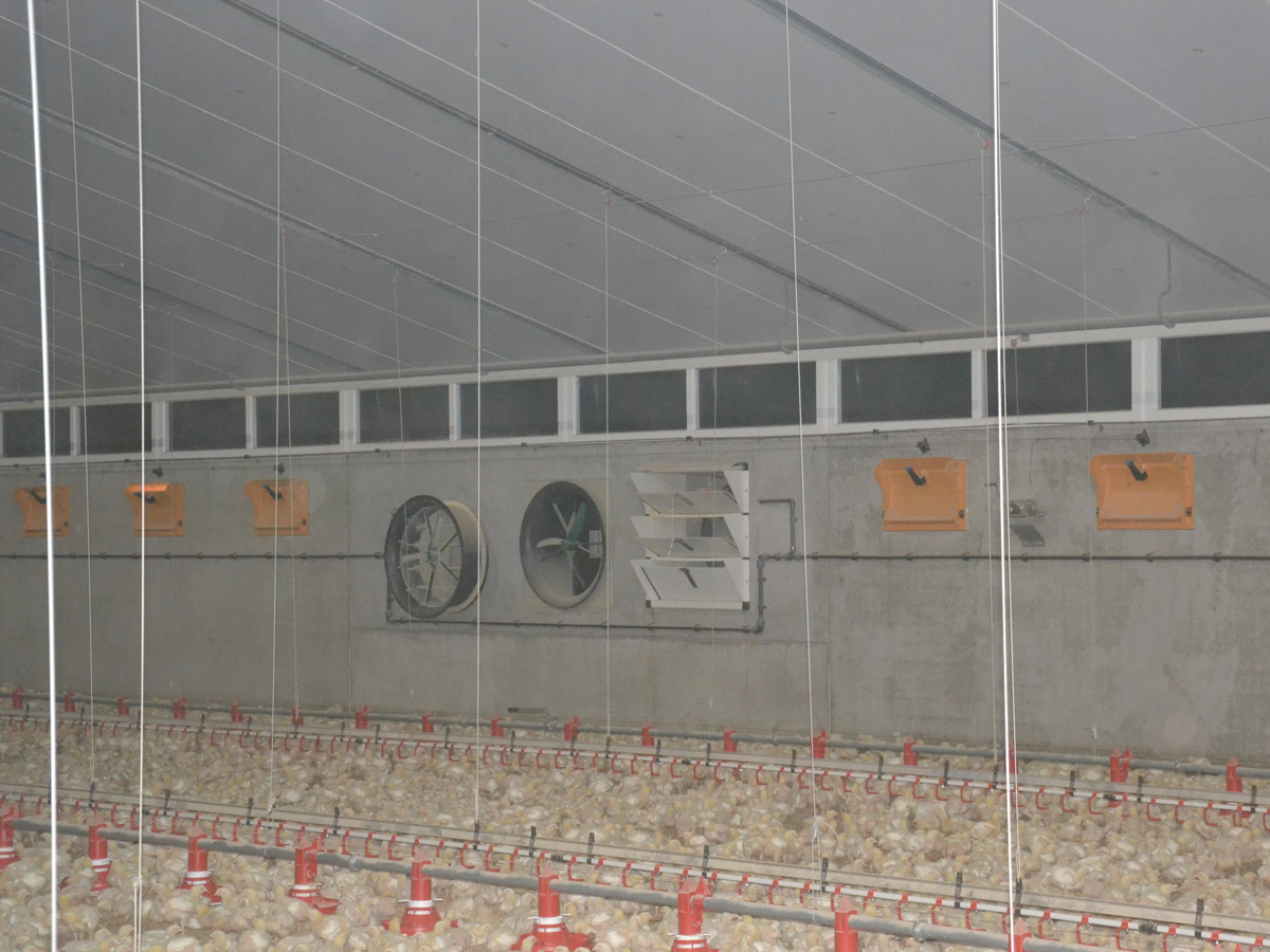 Climatec Systems | Air2-DS | Specialists in poultry equipment