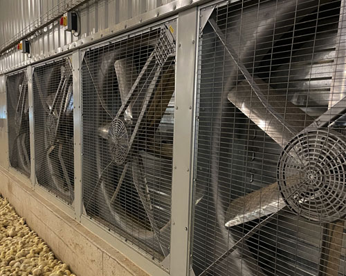 Climatec Systems | Poultry Fans & Chimneys | Specialists in poultry ...