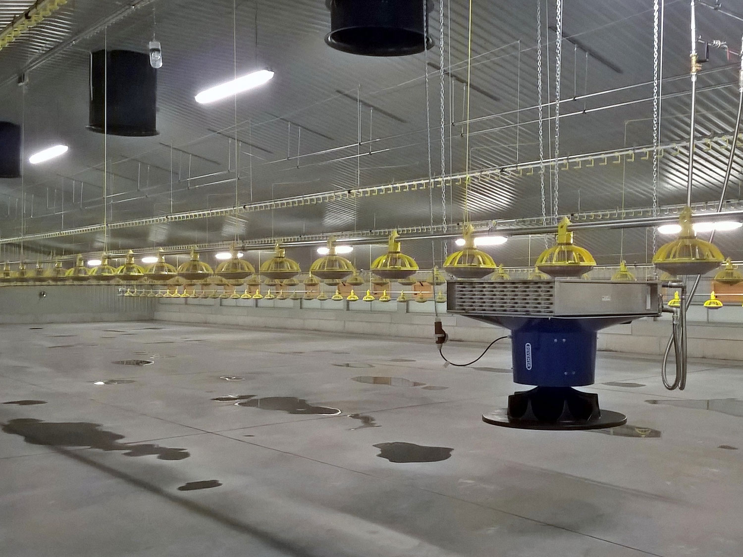 Climatec Systems | Poultry Projects | Specialists in poultry equipment