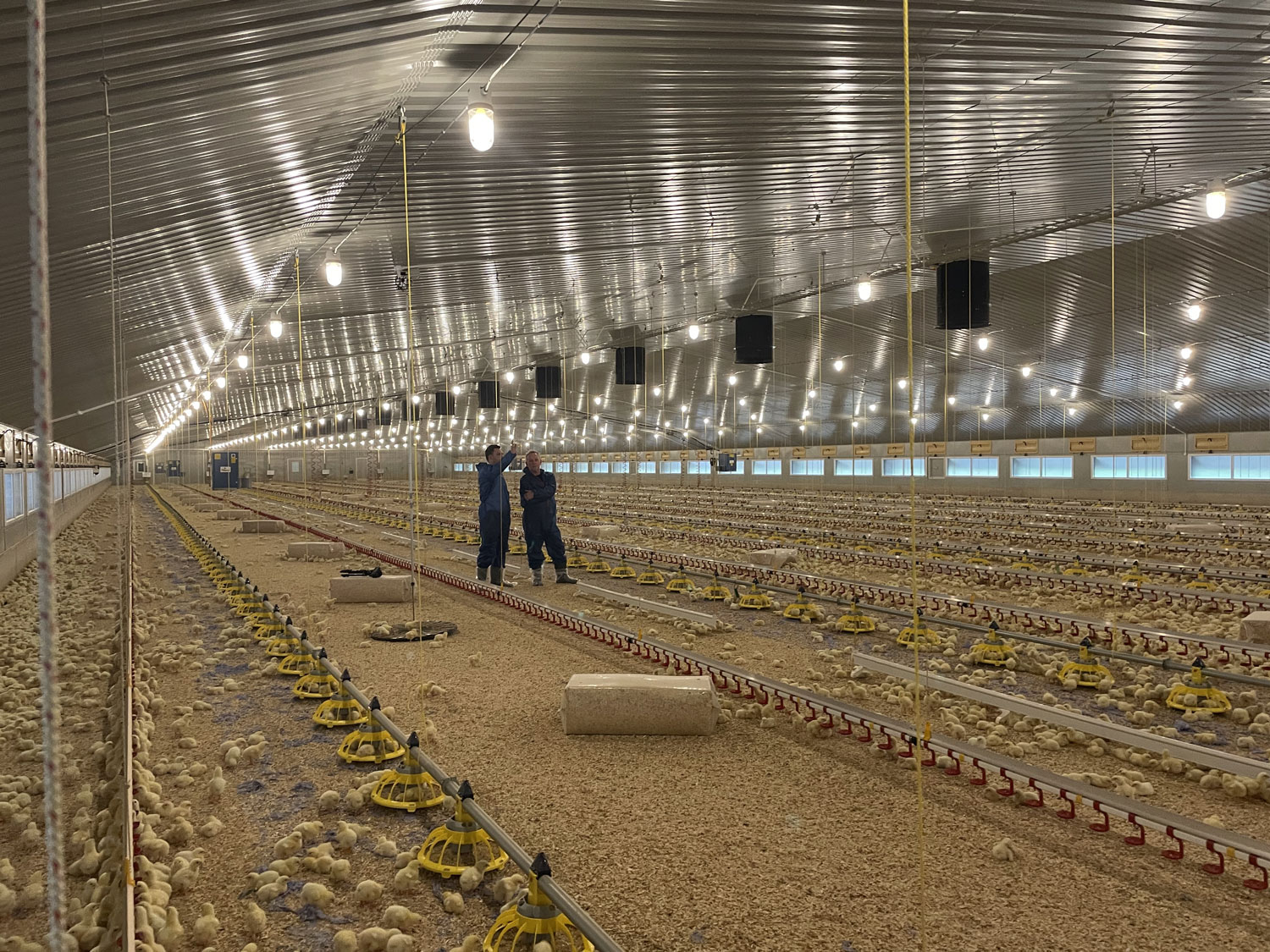 Climatec Systems Ben Reed Consultant