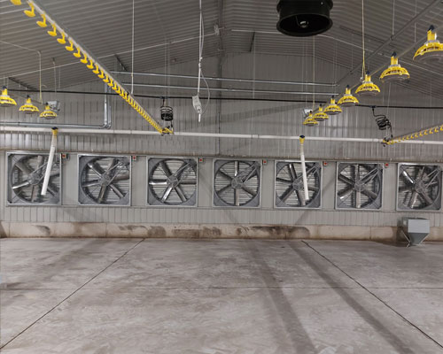 Climatec Systems | Poultry Fans & Chimneys | Specialists in poultry ...