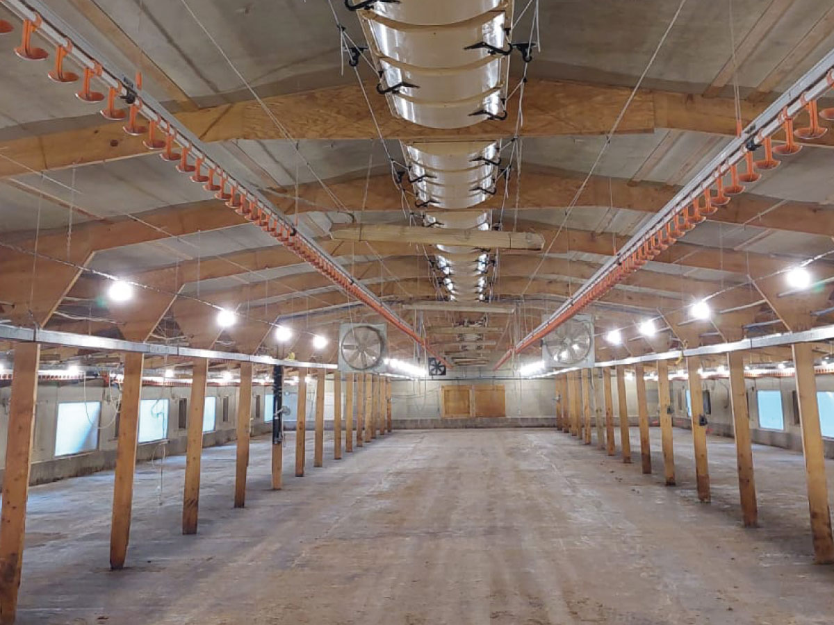 Climatec Systems | Poultry Project | Specialists in poultry equipment ...