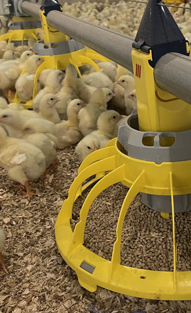 Climatec Systems gallery