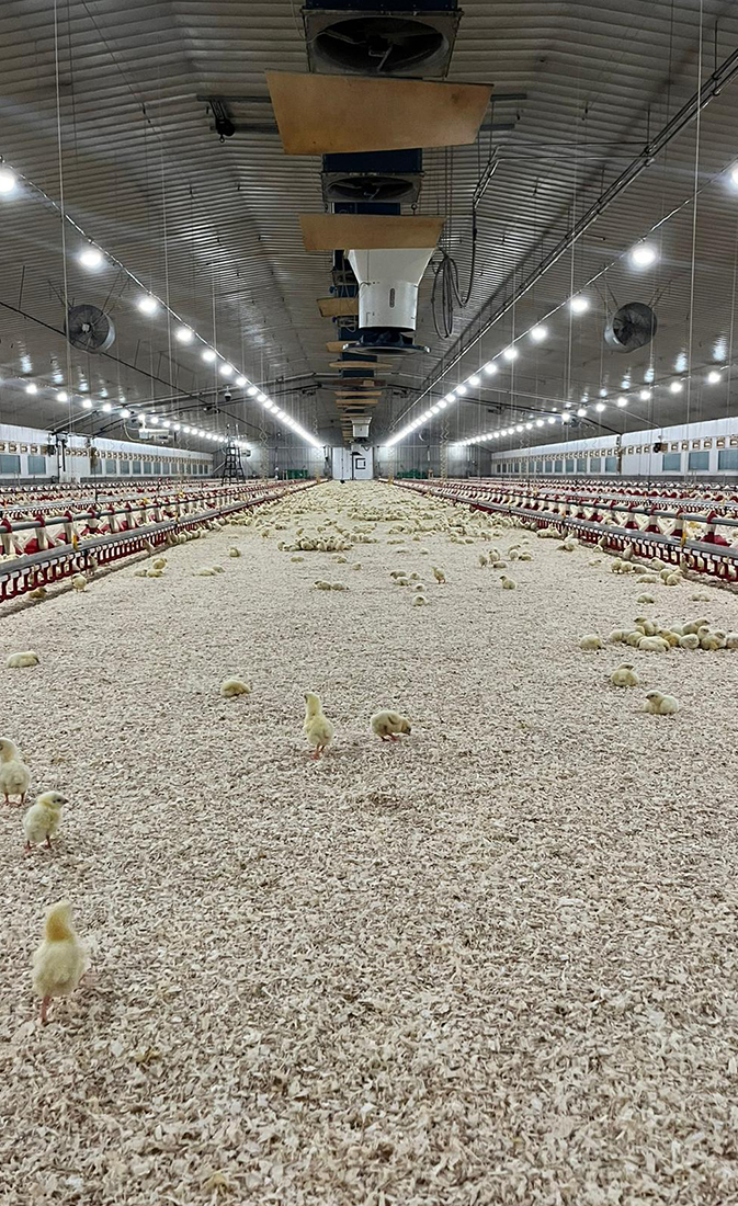 Climatec Systems gallery