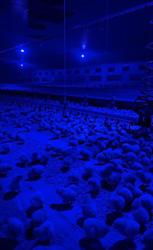 Climatec Systems gallery