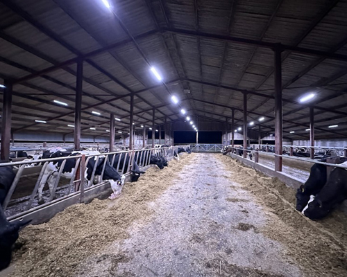 Climatec Systems gallery