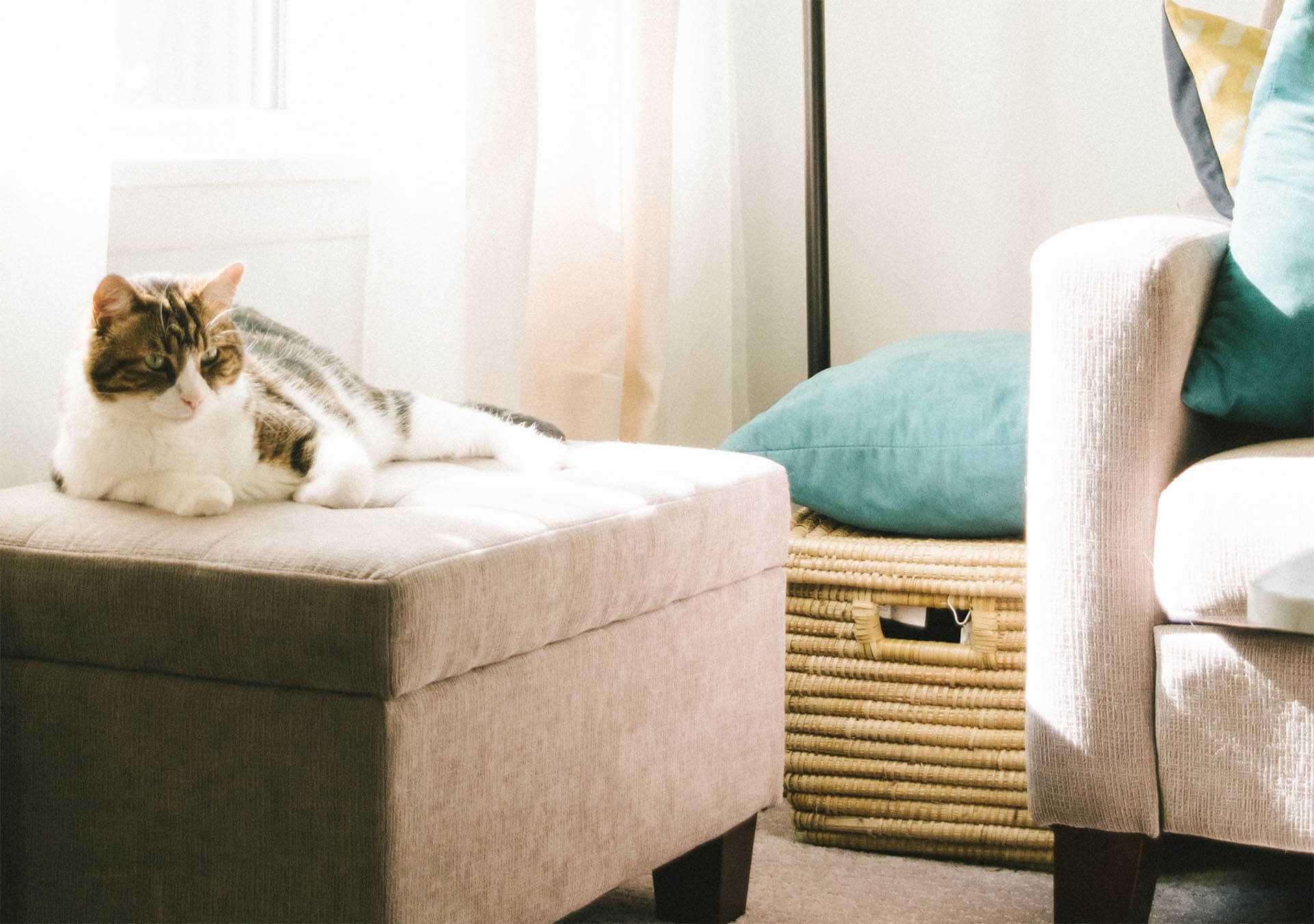 Small Ottoman | Unique Ottoman Footstool Catalog