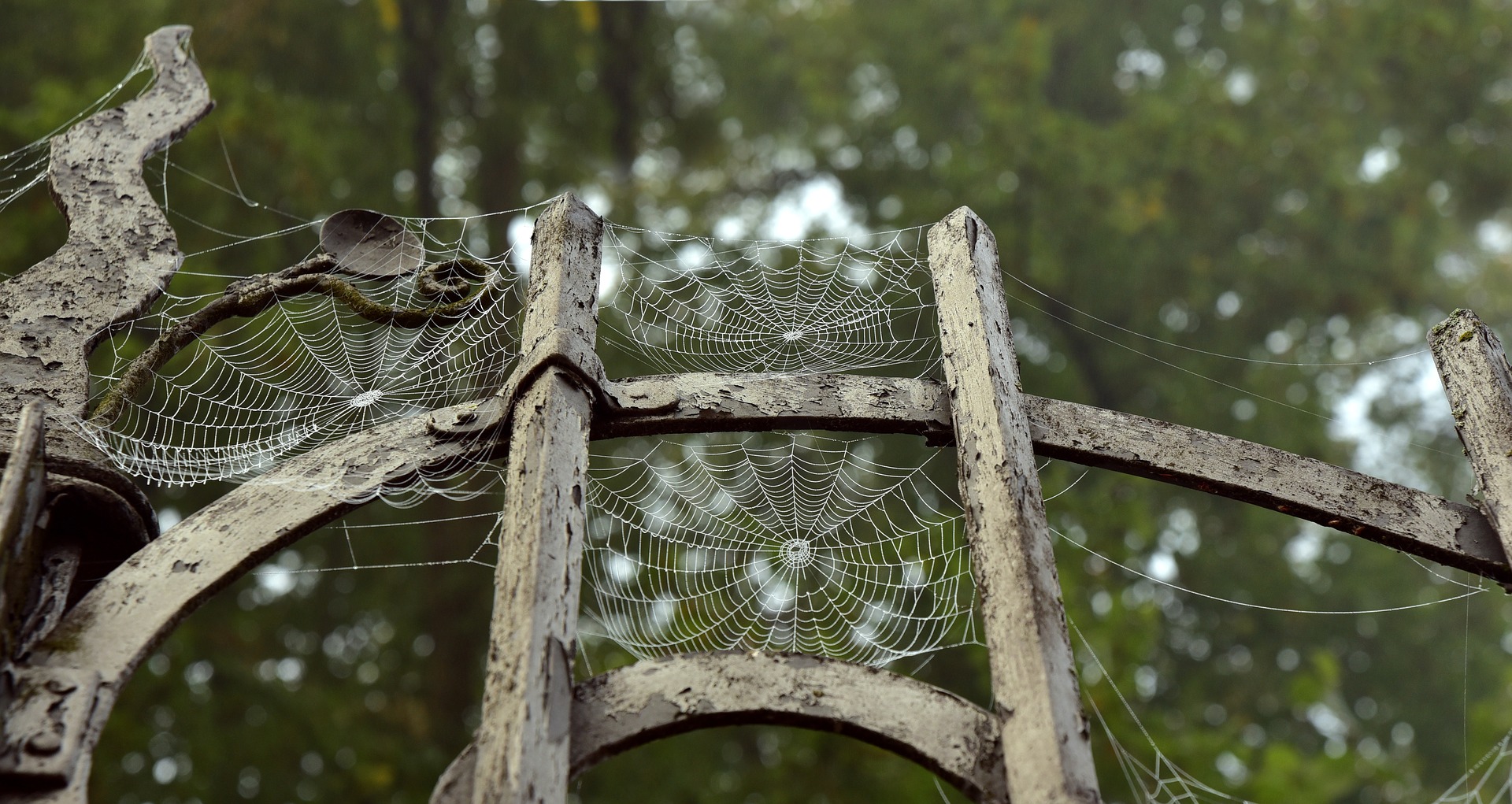 Simple Ways To Spider-Proof Your Home | Gallerynine5