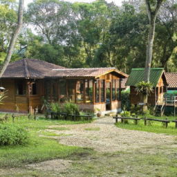 Jorge Tomas - Webflow