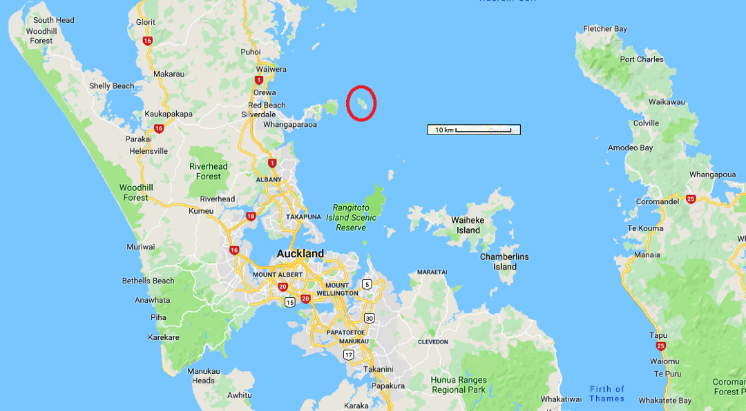 'Tossed by the Wind': The rare and remarkable creatures of Tiritiri ...