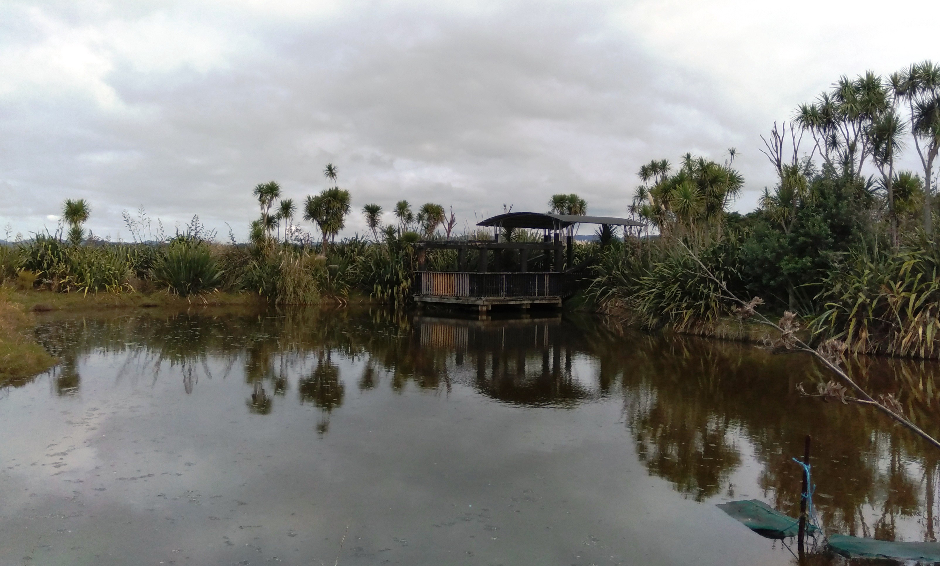The Peninsula of the Dawn: Te Atatū and its living mudflats - A ...