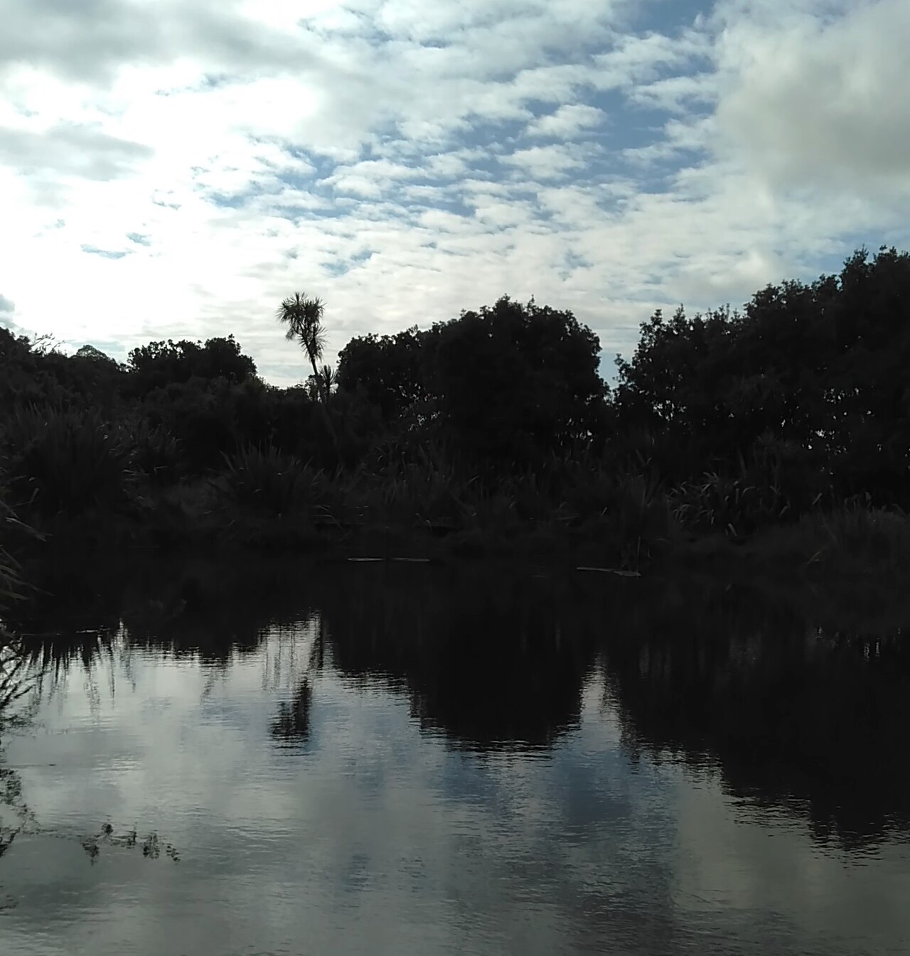 The Peninsula of the Dawn: Te Atatū and its living mudflats - A ...