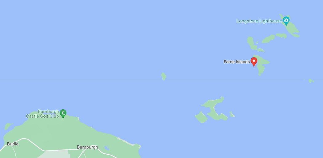The Farne Islands: Once holy, and the home of Grace Darling, now a ...