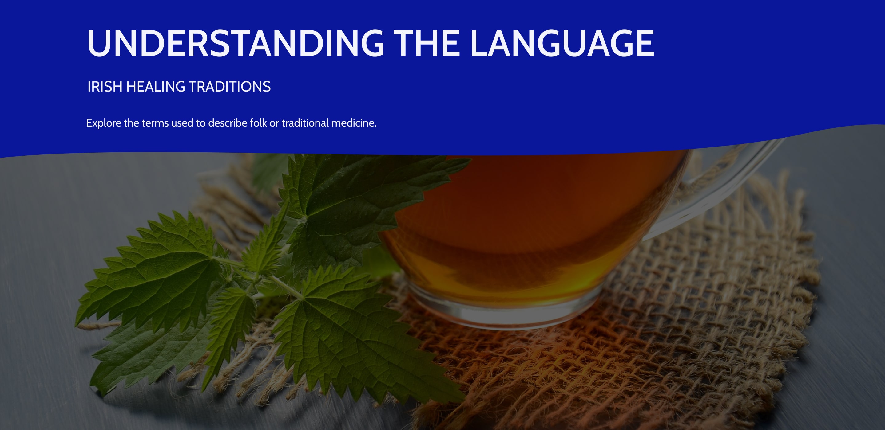 Understanding the language