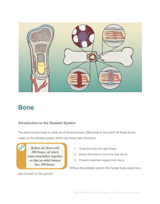 Bone Student Reading Pages | The Partnership in Education