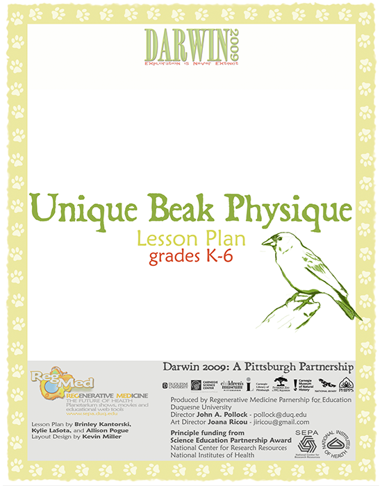 Unique Beak Physique Lesson Plan | The Partnership in Education
