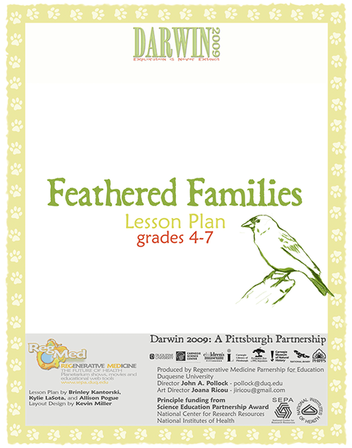 Feathered Families Lesson Plan | The Partnership in Education