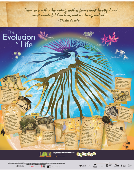 Spiral of Life I: From Darwin to Today | The Partnership in Education