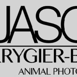 Nick James - Webflow