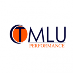 TMLU Performance - Webflow