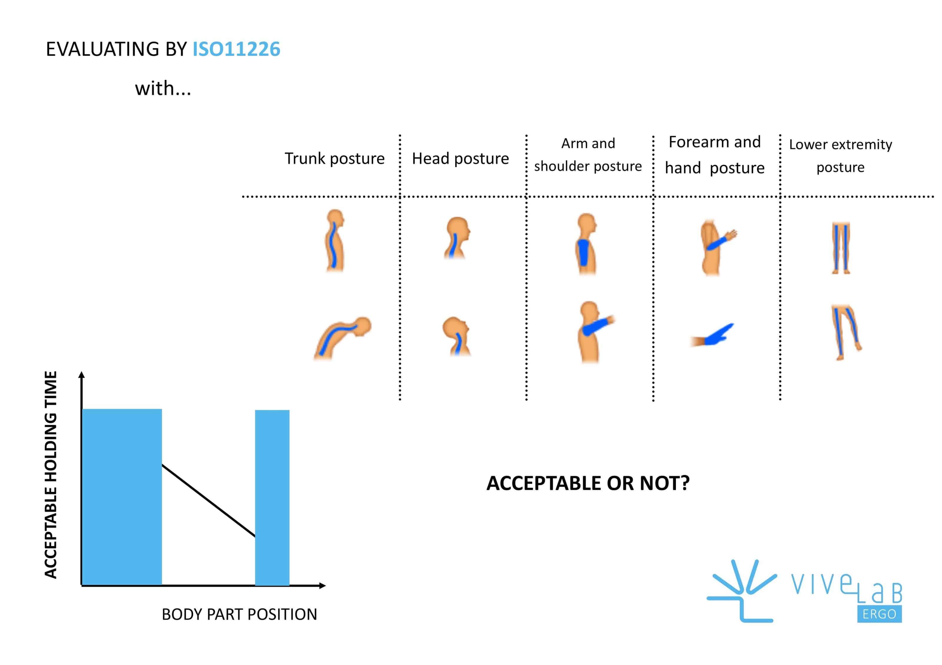 ViveLab Ergo | Methods and standards