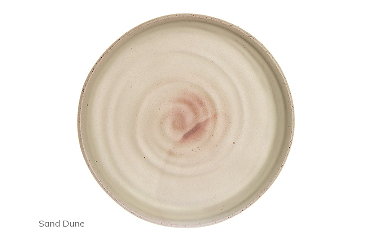 Earth Dinner plate 27cm