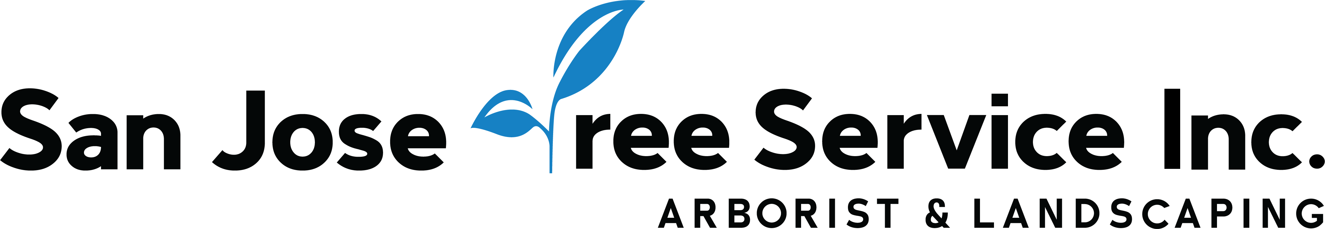 Service Gallery — San Jose Tree Service