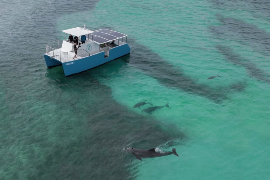 Meet Squid: Key West’s solar-powered boat for dolphin tours | Sunflare
