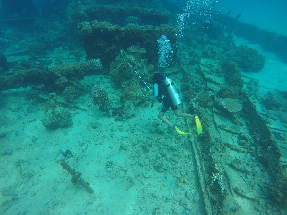Shipwrecks for Coastal Ecosystem Conservation