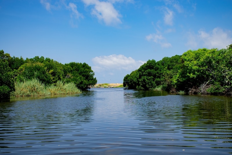 Conservation and Restoration of Marine and Coastal Ecosystems for ...
