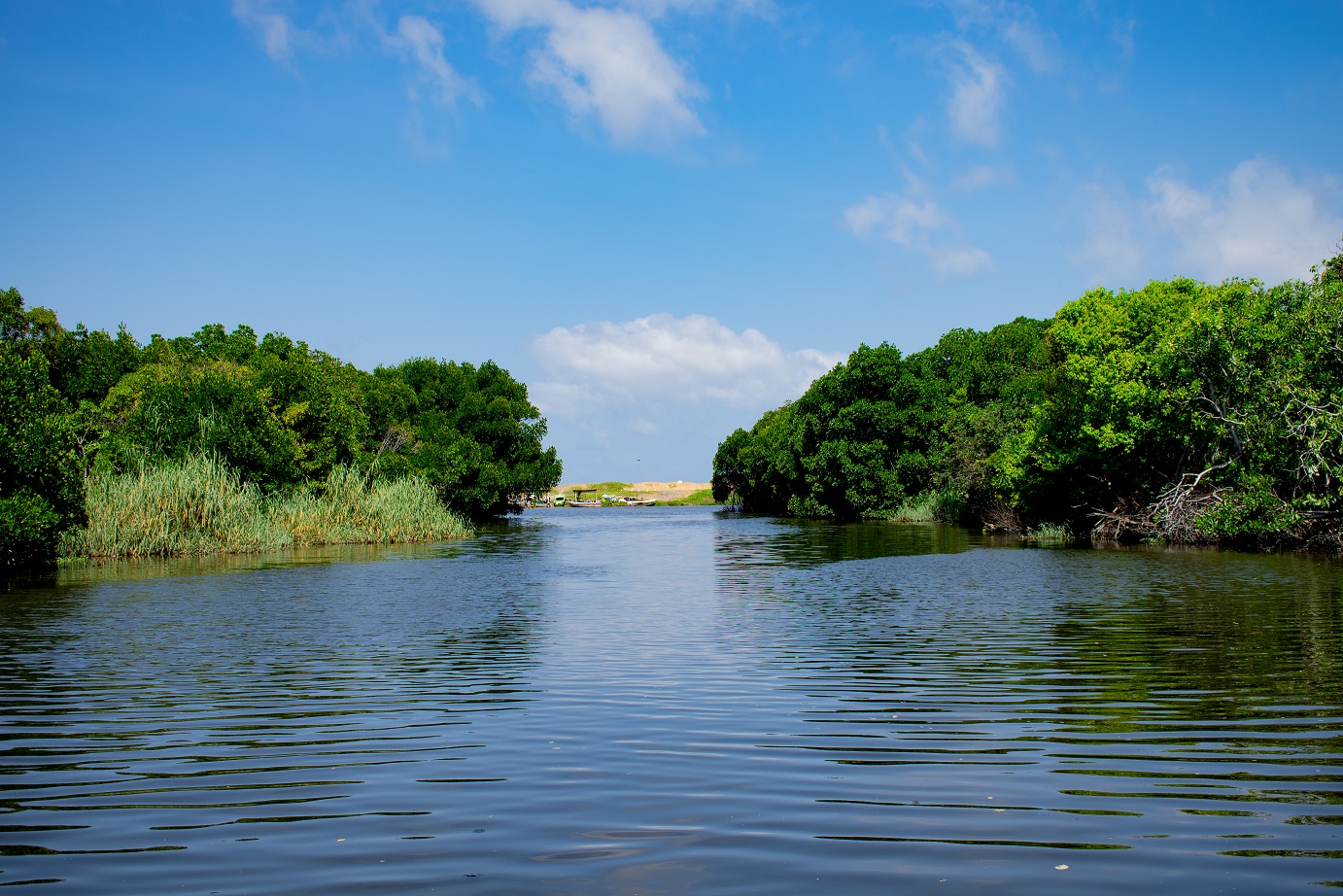 Conservation and Restoration of Marine and Coastal Ecosystems for ...