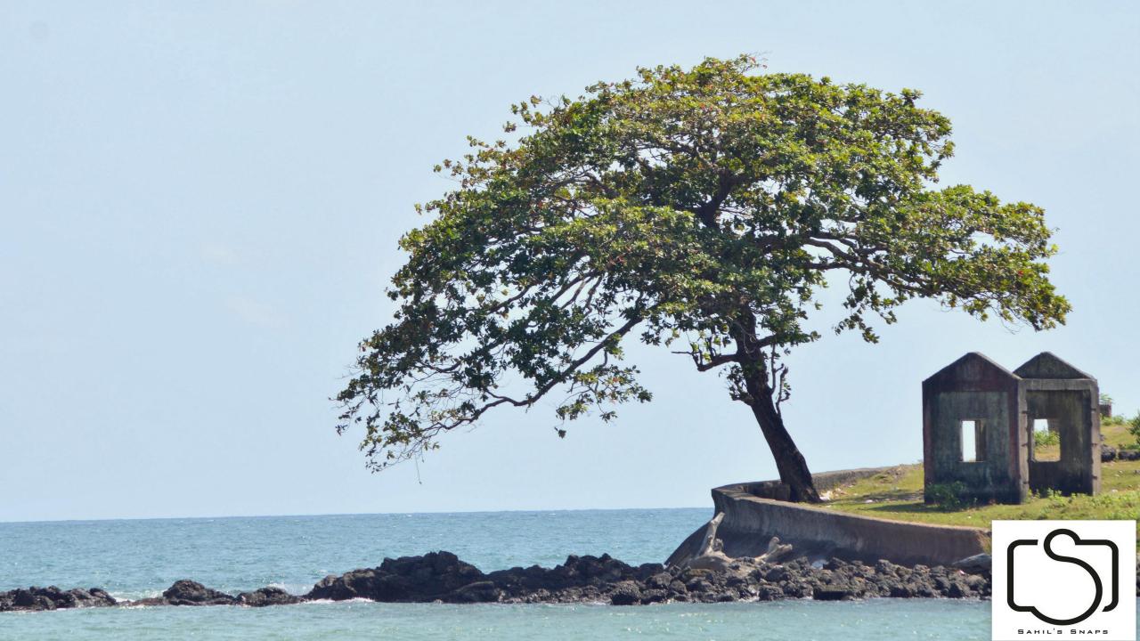 Corbyns Cove Beach ( Travel Guide, Photos, 2021)