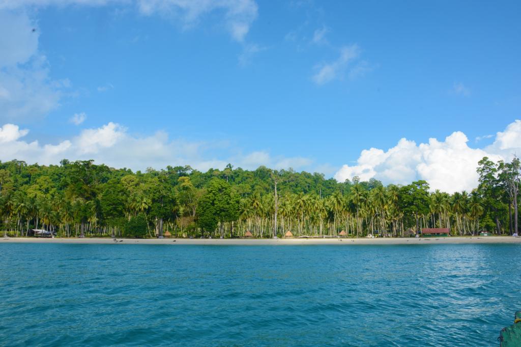 Long Island in Andaman- Top places to see, How to Reach