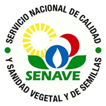 Transporte de Carga - Costa Express