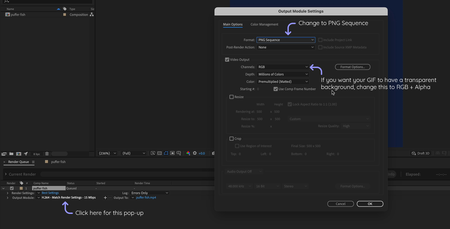 AE Fundamentals: Render a GIF