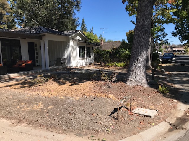 Service Gallery — San Jose Tree Service